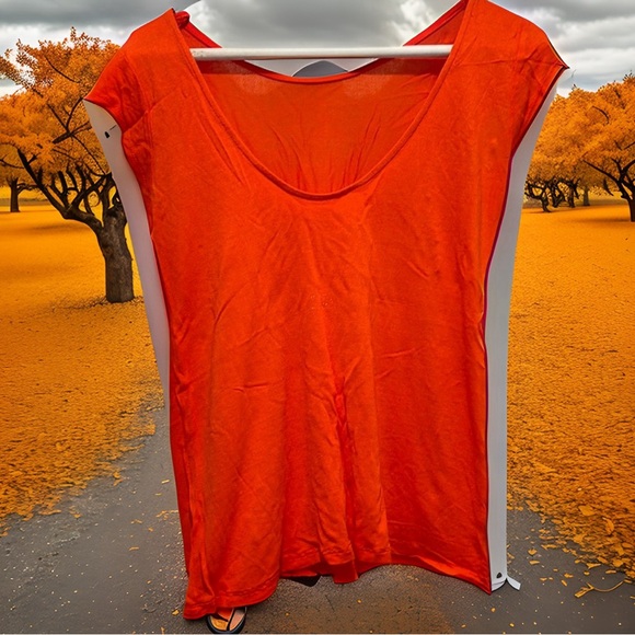 Tops | 5 For 25 Simple Bright Orange Top Unused Spare In A Film Shoot ...